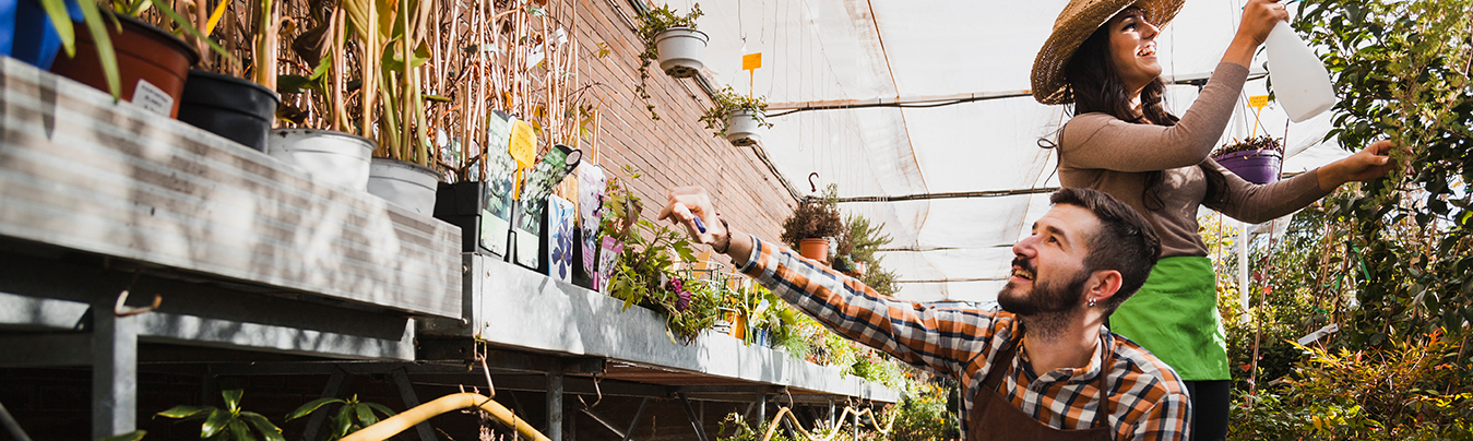 Horticulture Courses Australia | My Study Counselor